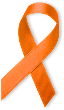 MS Ribbon.3 | Trattoria Zooma